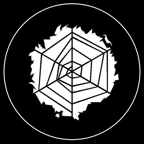 Spiderweb Gobo 8 of 10 – gobonomics